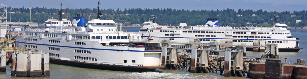 Delta Bin Rental | Dumpster Rental Delta | Trash King